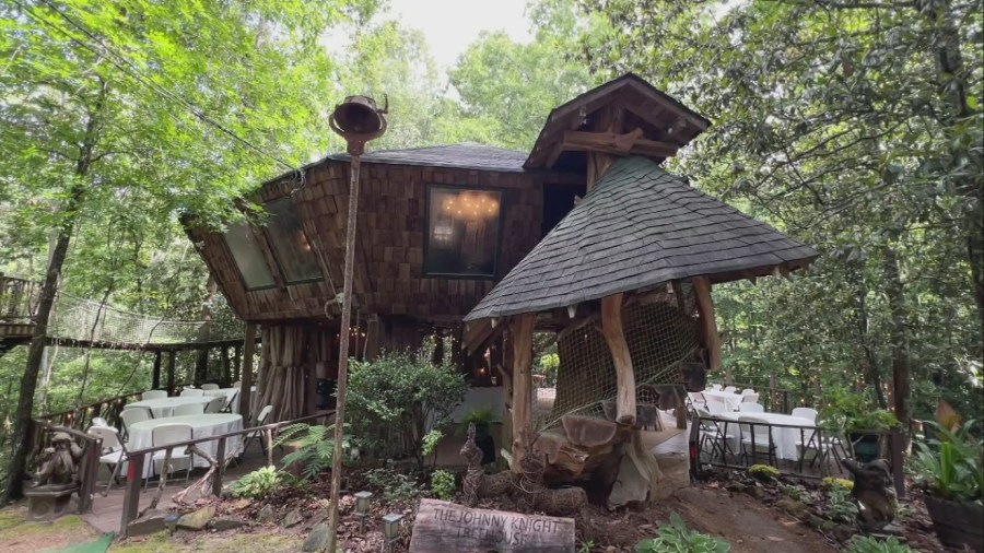 The Johnny Knight Treehouse