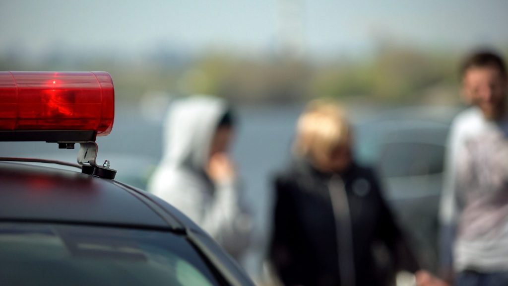 South LA Police Kill Woman at Traffic Stop Suspected of Huntington ...