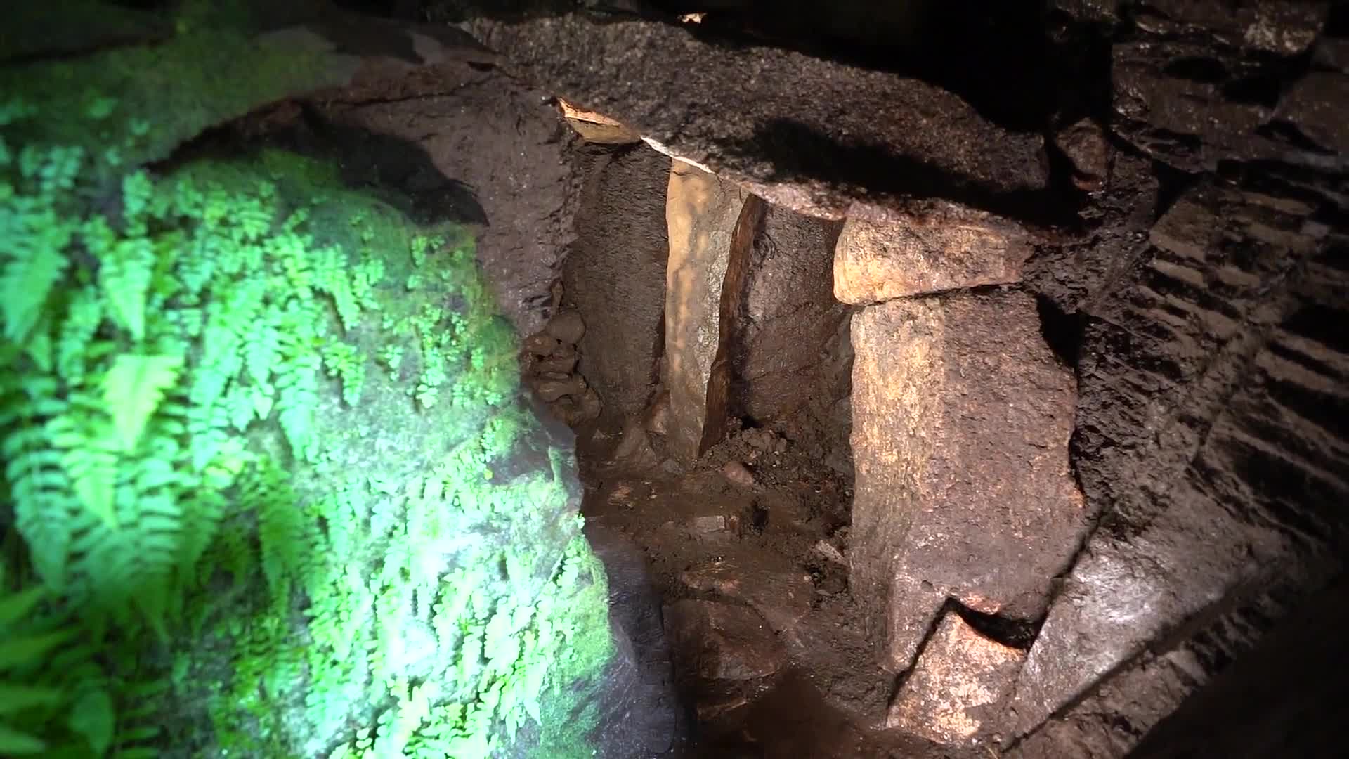 Discovering a hidden Scottish treasure! 🌍