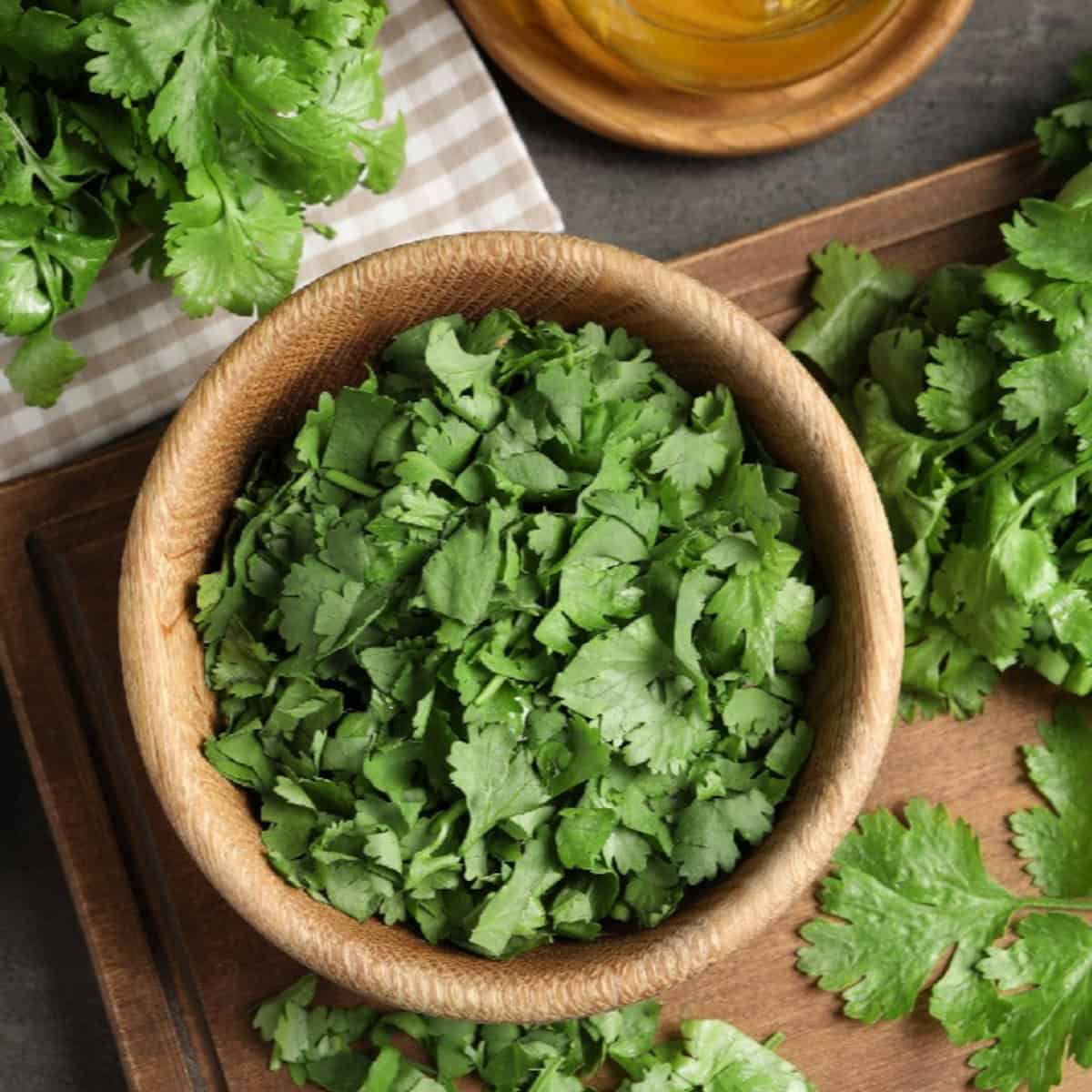 How to Prep, Store, and Cook with Fresh Cilantro