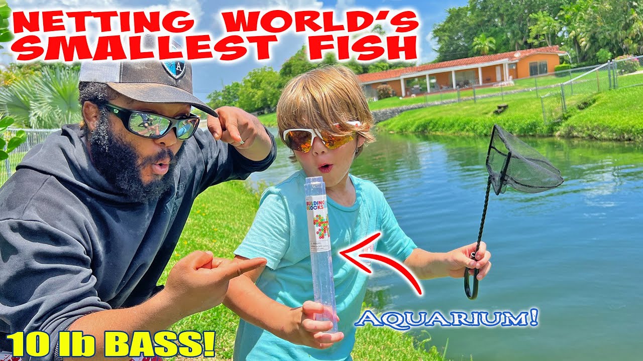 Catching the World’s Smallest Fish for Our Aquarium!