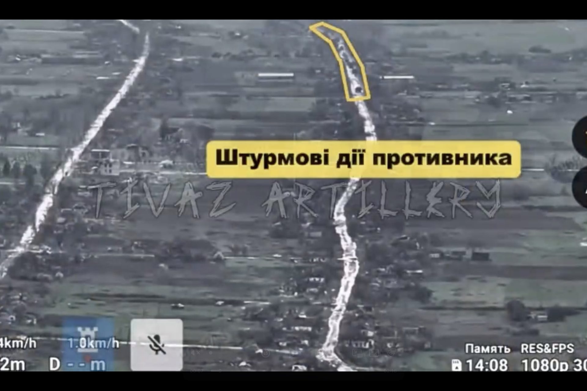 Ancient medicinal plants and their healing properties