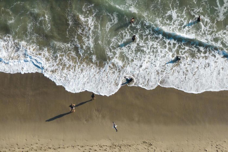 Go to the beach, just don't get wet. Bacteria warnings issued ahead of ...