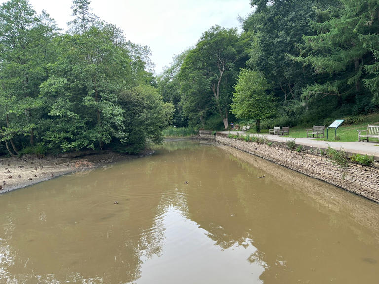 Sheffield drought: New alert over water levels amid 'wildlife emergency ...
