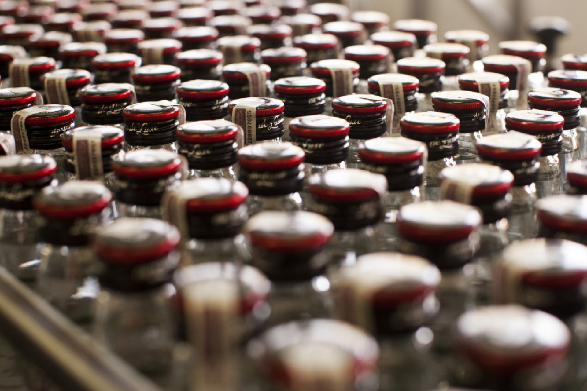 The real impact of alcohol in your body