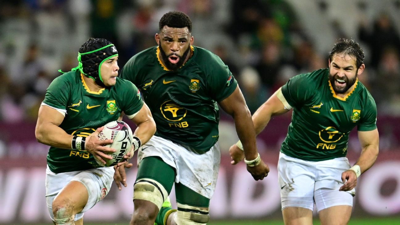 South Africa vs Italy - Springboks obvious favourites to crush Azzurri ...