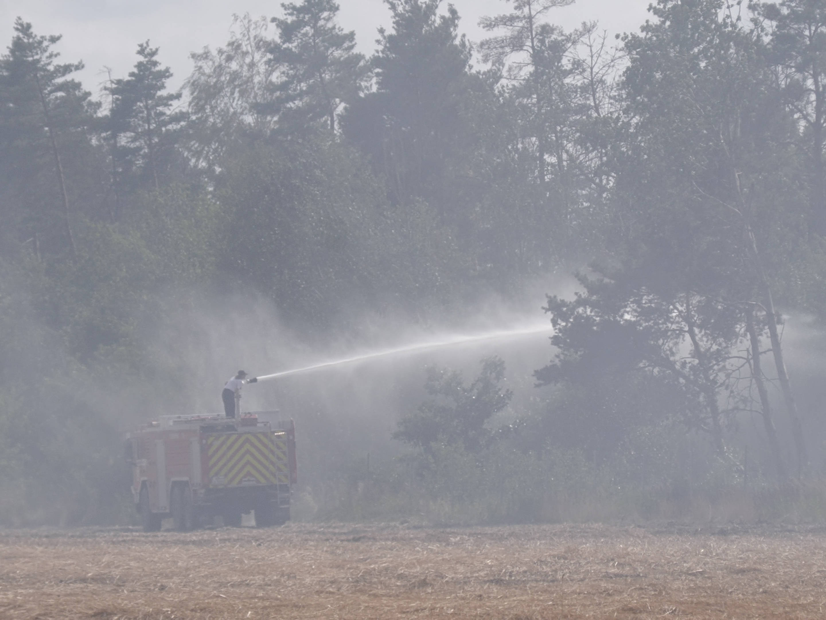 Over 1,000 firefighters battle wildfires in eastern Germany