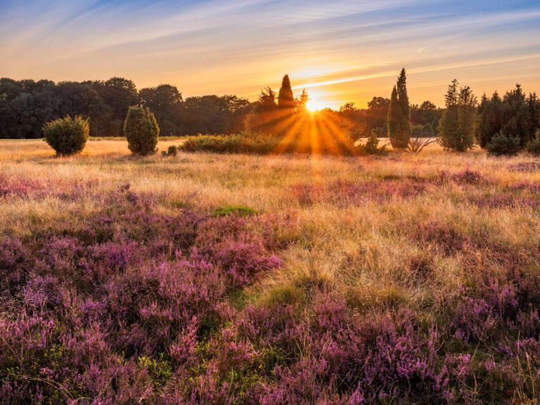 Niedersachsen: Diese Orte sind besonders schön für Ausflüge