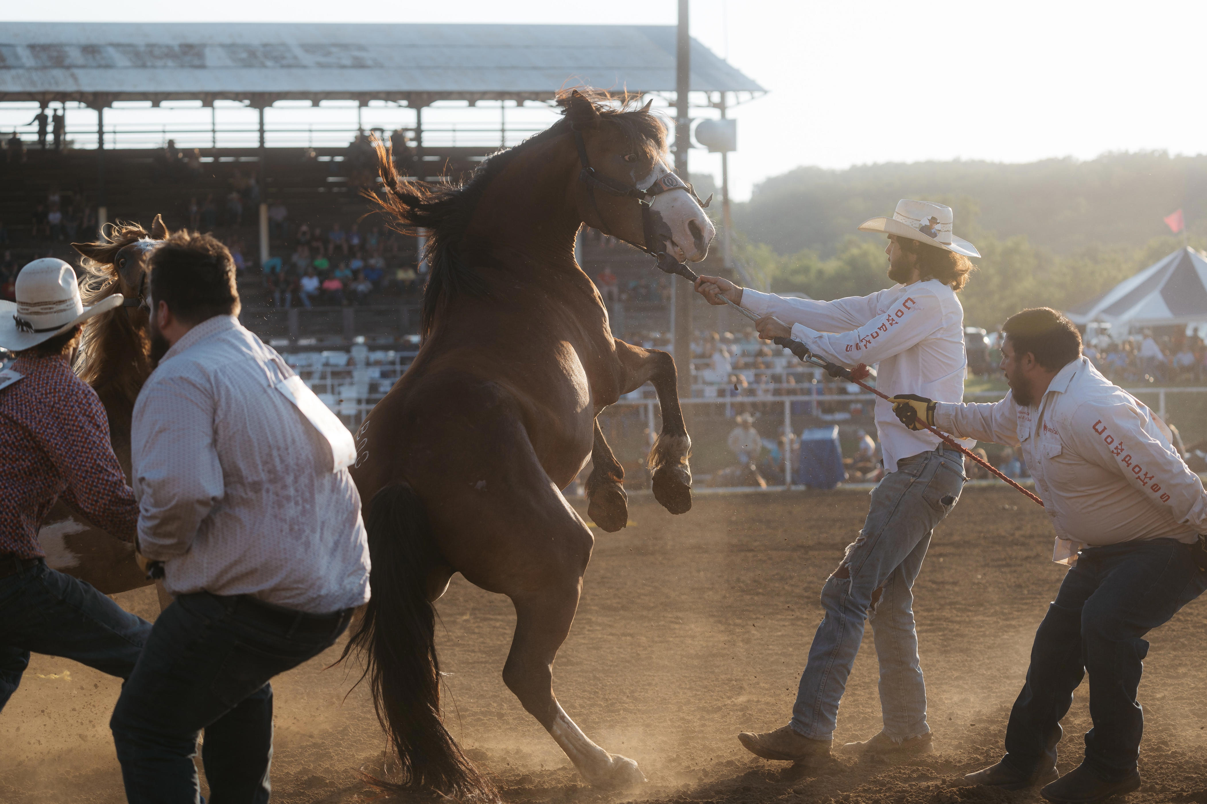 Your guide to Cavalcade 2025: Rodeo events, concerts and parades in ...
