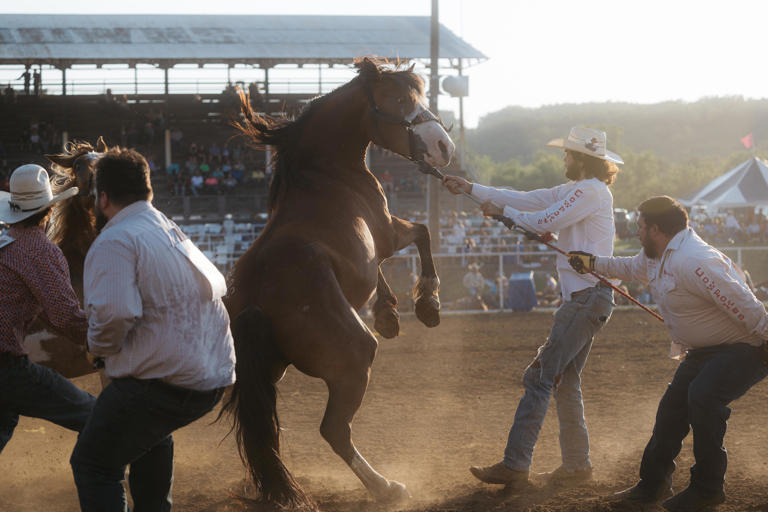 Your guide to Cavalcade 2025: Rodeo events, concerts and parades in ...