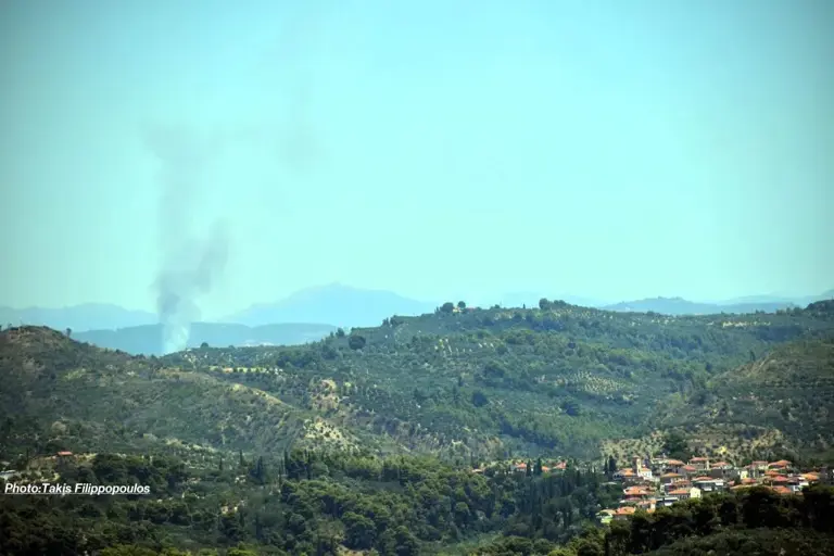 Φωτιά σε δασική έκταση στα Κάμενα Αρχαίας Ολυμπίας – Σηκώθηκαν εναέρια μέσα