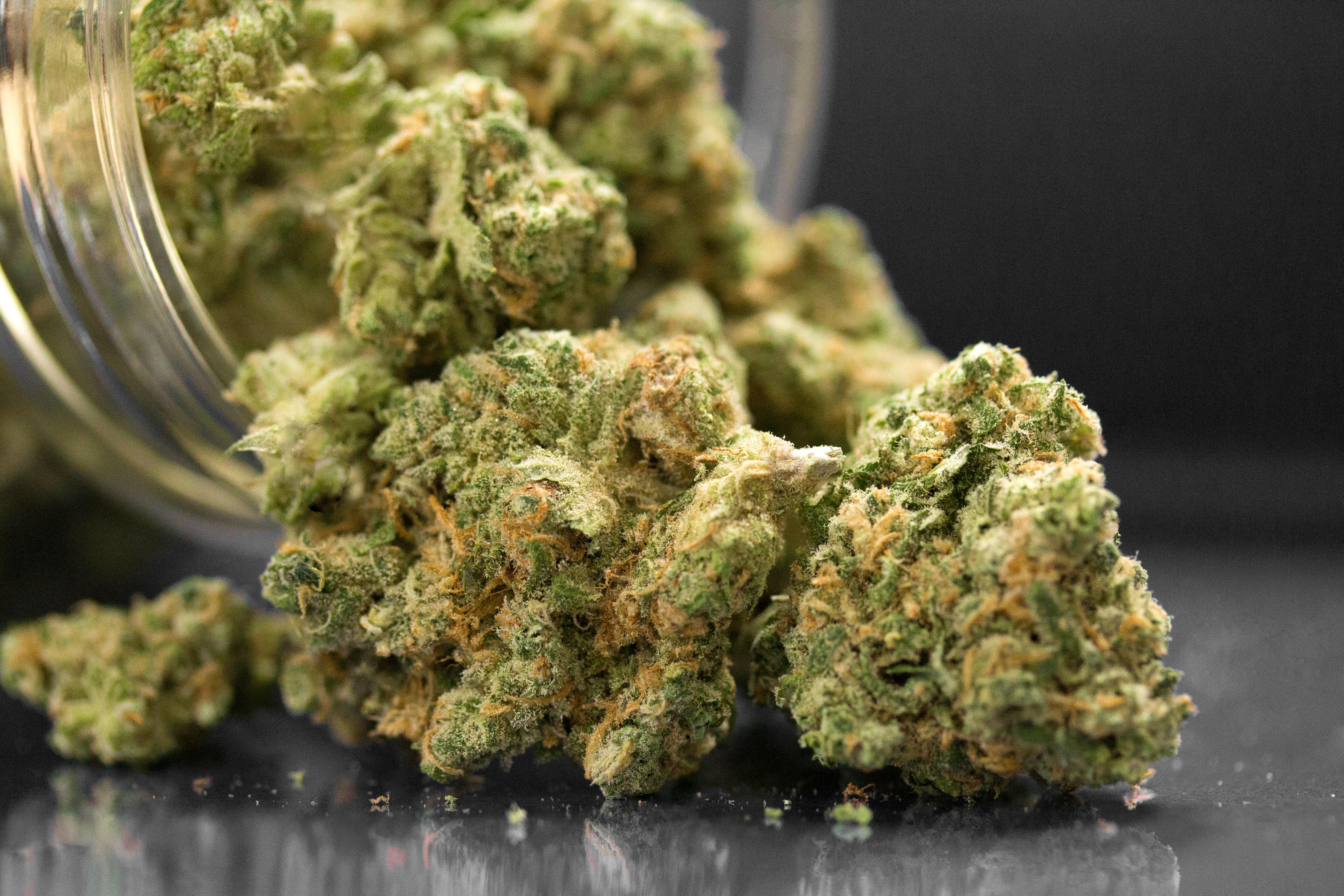 Dallas pauses enforcement of marijuana decriminalization measure amid ...