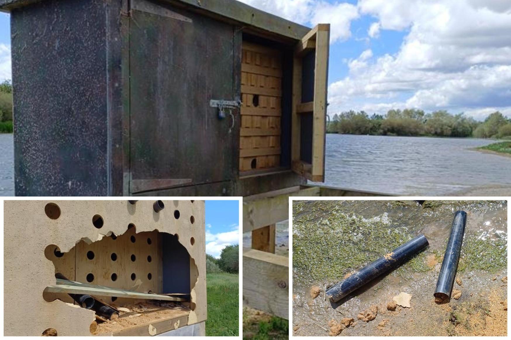 'Mindless' vandalism of nest boxes at Rushden lake nature reserve harms ...