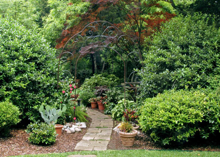 Tips for creating a natural landscape look in your North Texas garden