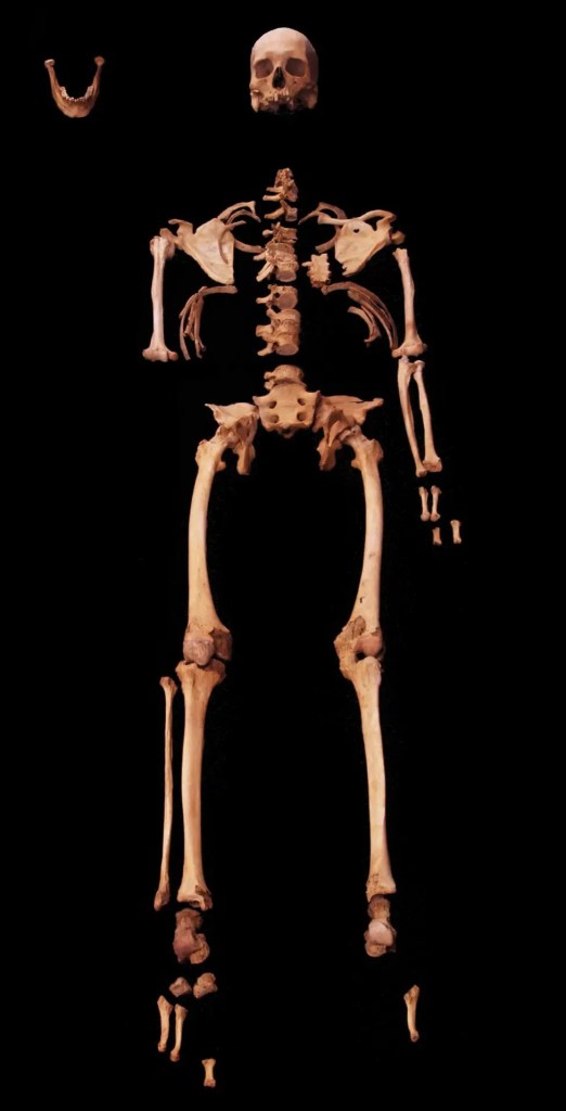 One skeleton upended how historians view Ancient Egypt