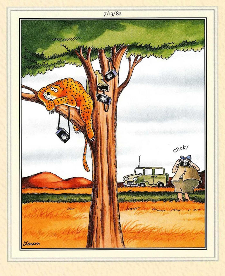 10 Far Side Comics That Are Basically Just Roasts of Humanity