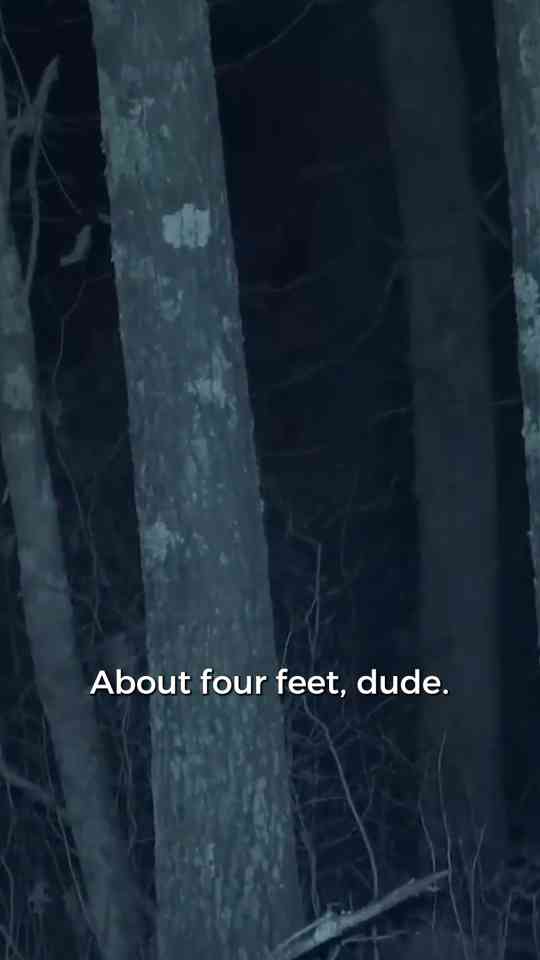 Trapped Inside the Most Haunted Swamp In The World | America's Bermuda ...