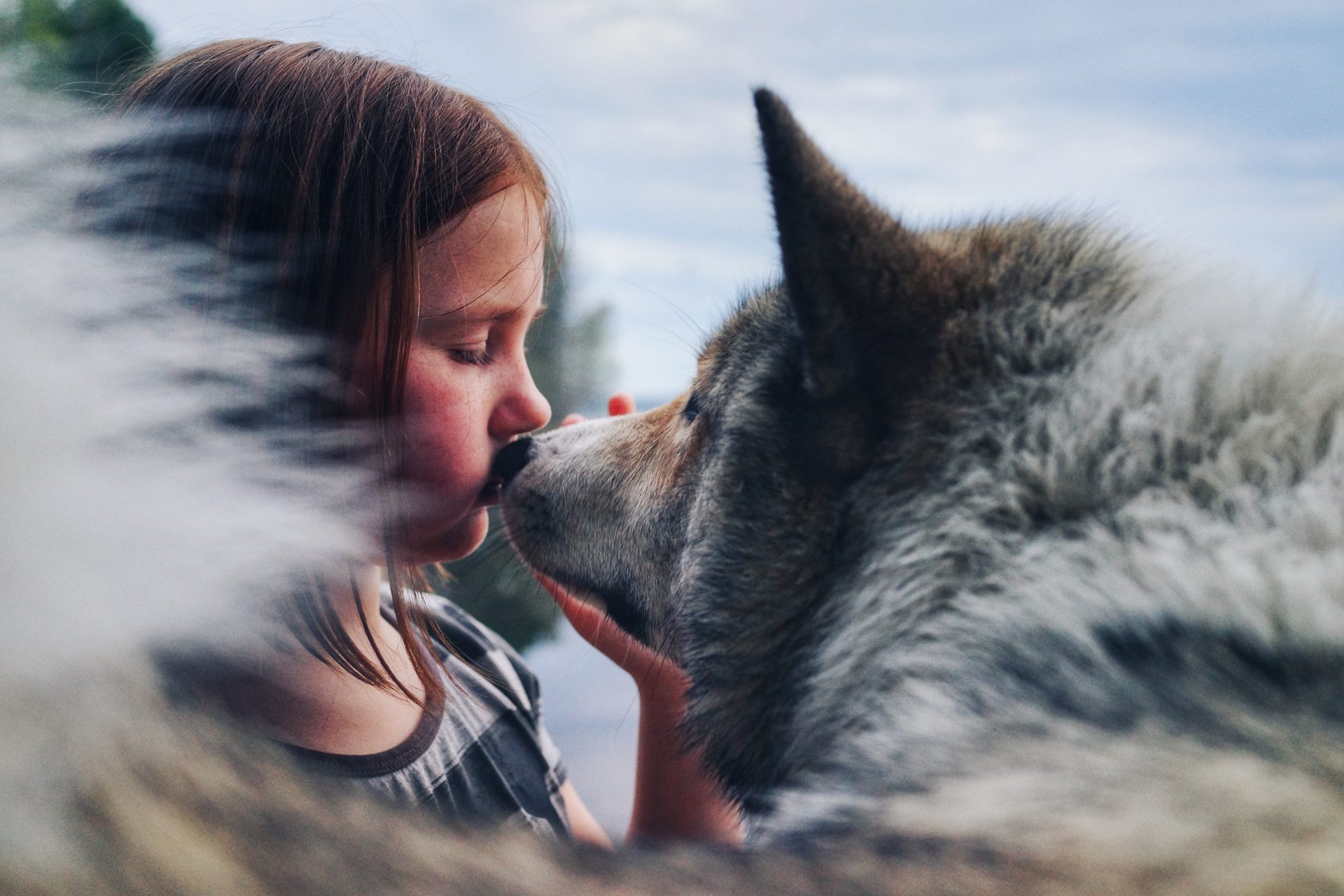 True stories: children raised by animals who defied human logic