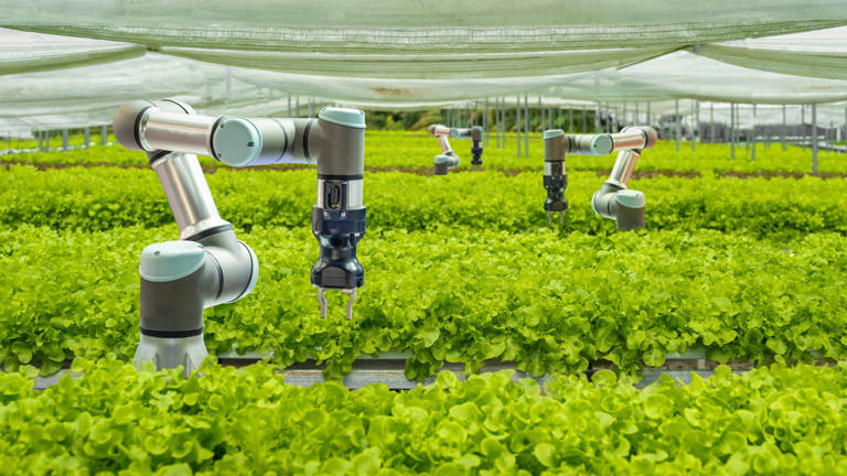 SonicBoom: New tech helps robotic arm sense, navigate obstacles through ...