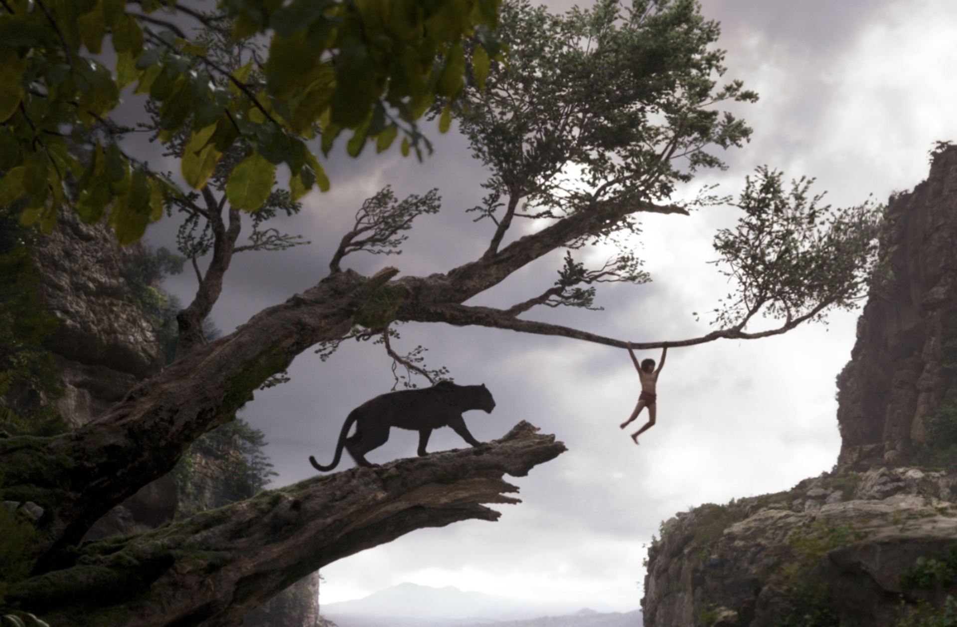 Raised by wolves? The true stories that shocked the world