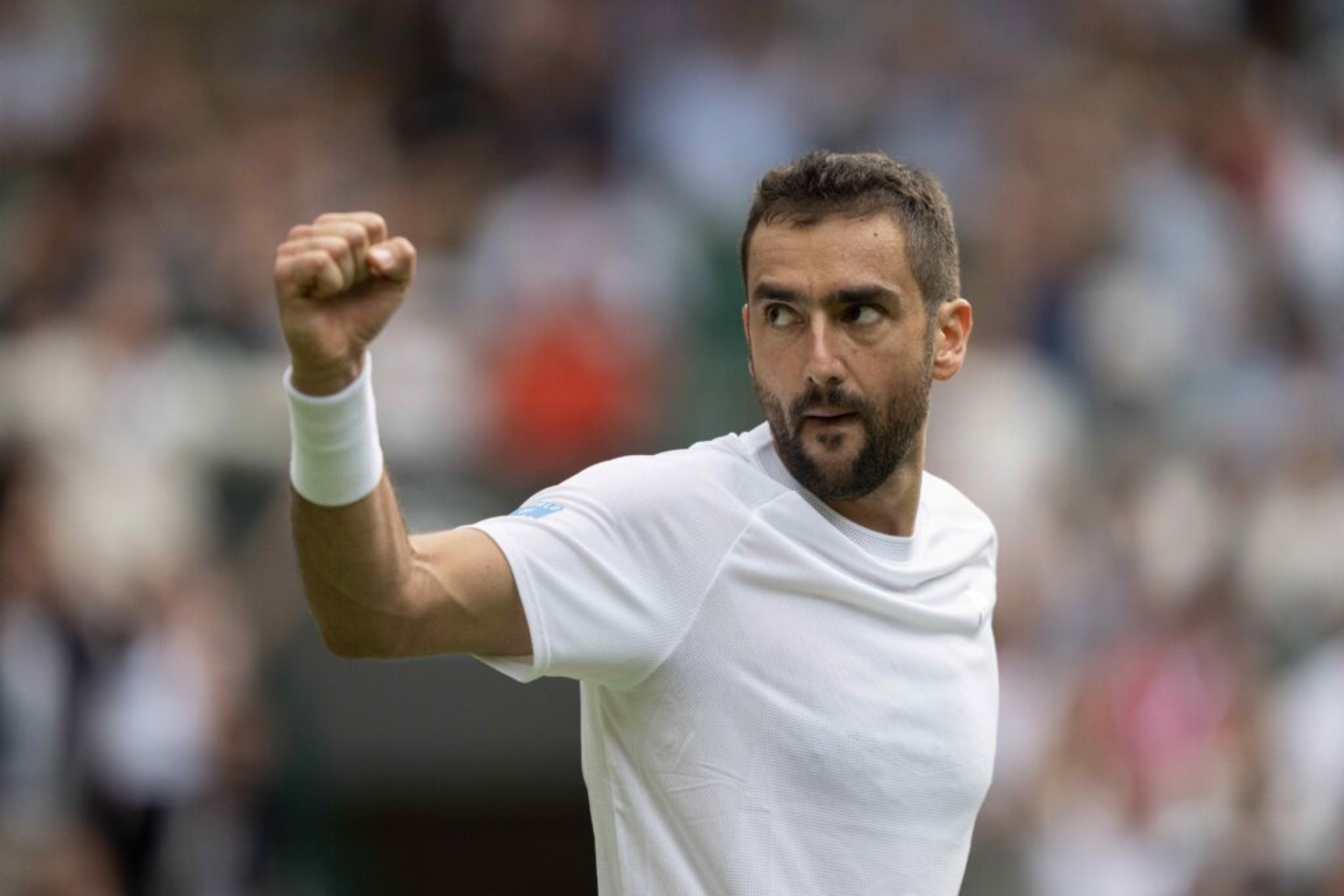 ATP Davis Cup Best Bets Including Cilic vs Rinderknech