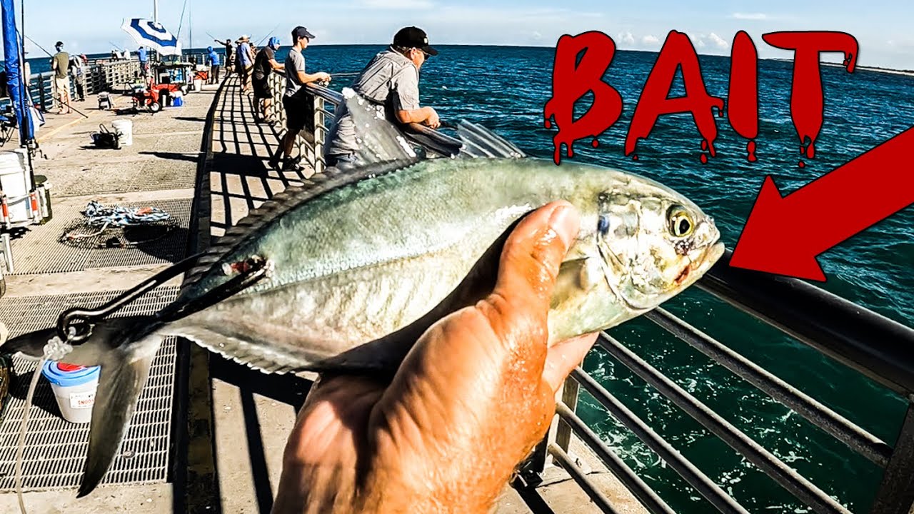Jetty Fishing Turned Into a Battle With a Giant