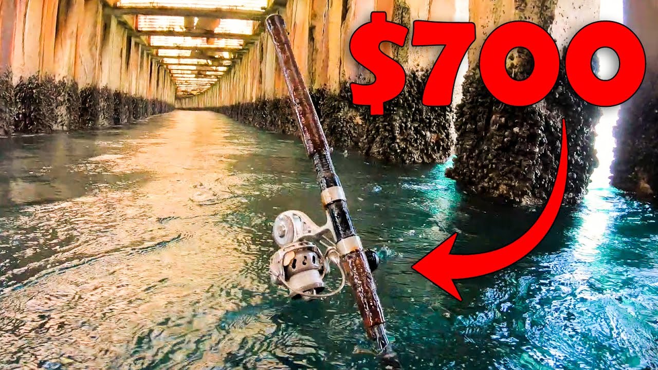 Fishing Pier Dive Turned Into a Treasure Hunt