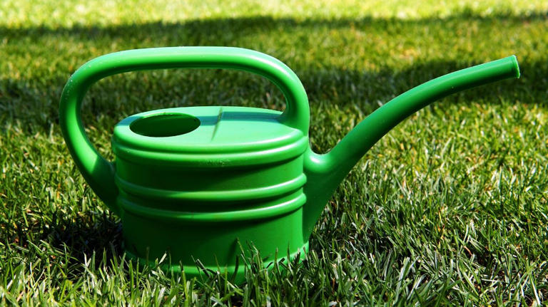 Regadera ideal para el jardín: tipos, materiales, capacidades y los ...