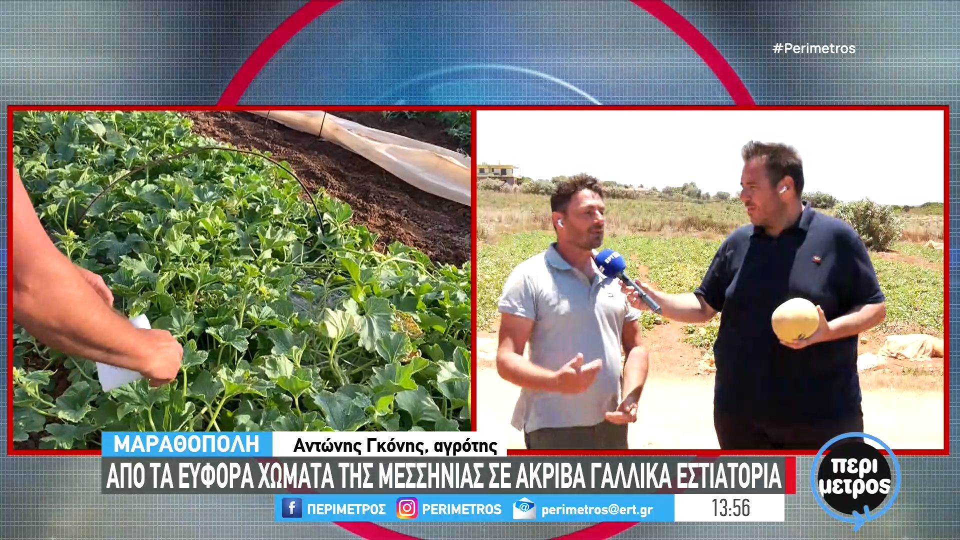 Μαραθόπολη Μεσσηνίας: Πεπόνια με 45 χρόνια ιστορίας, διαχρονική ...