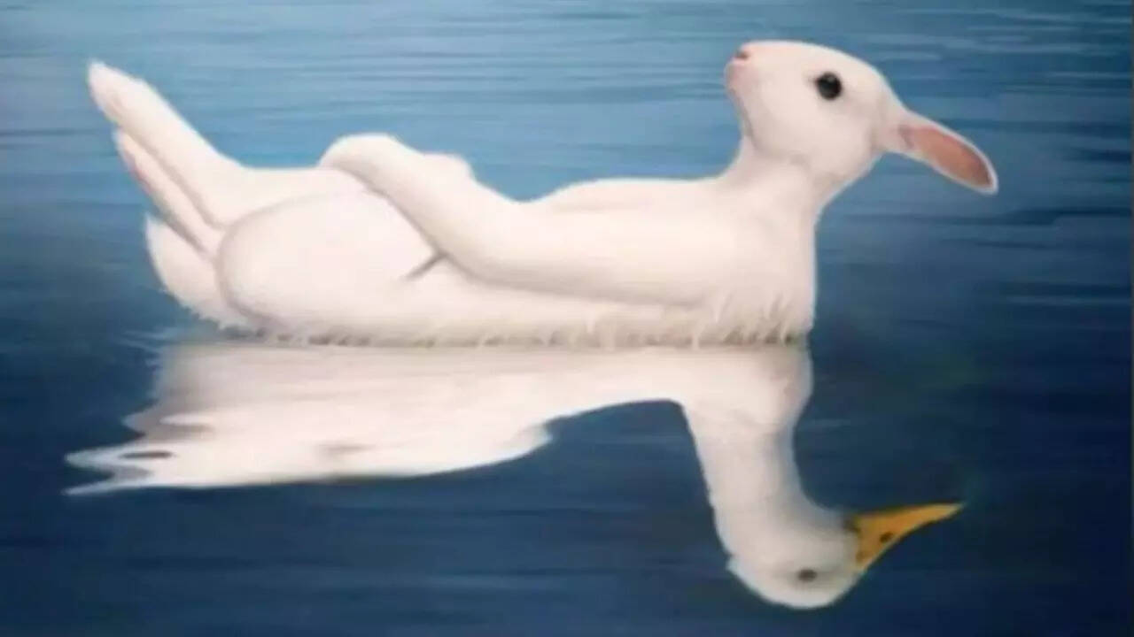 Optical illusion personality test: Duck or rabbit? What you see first ...