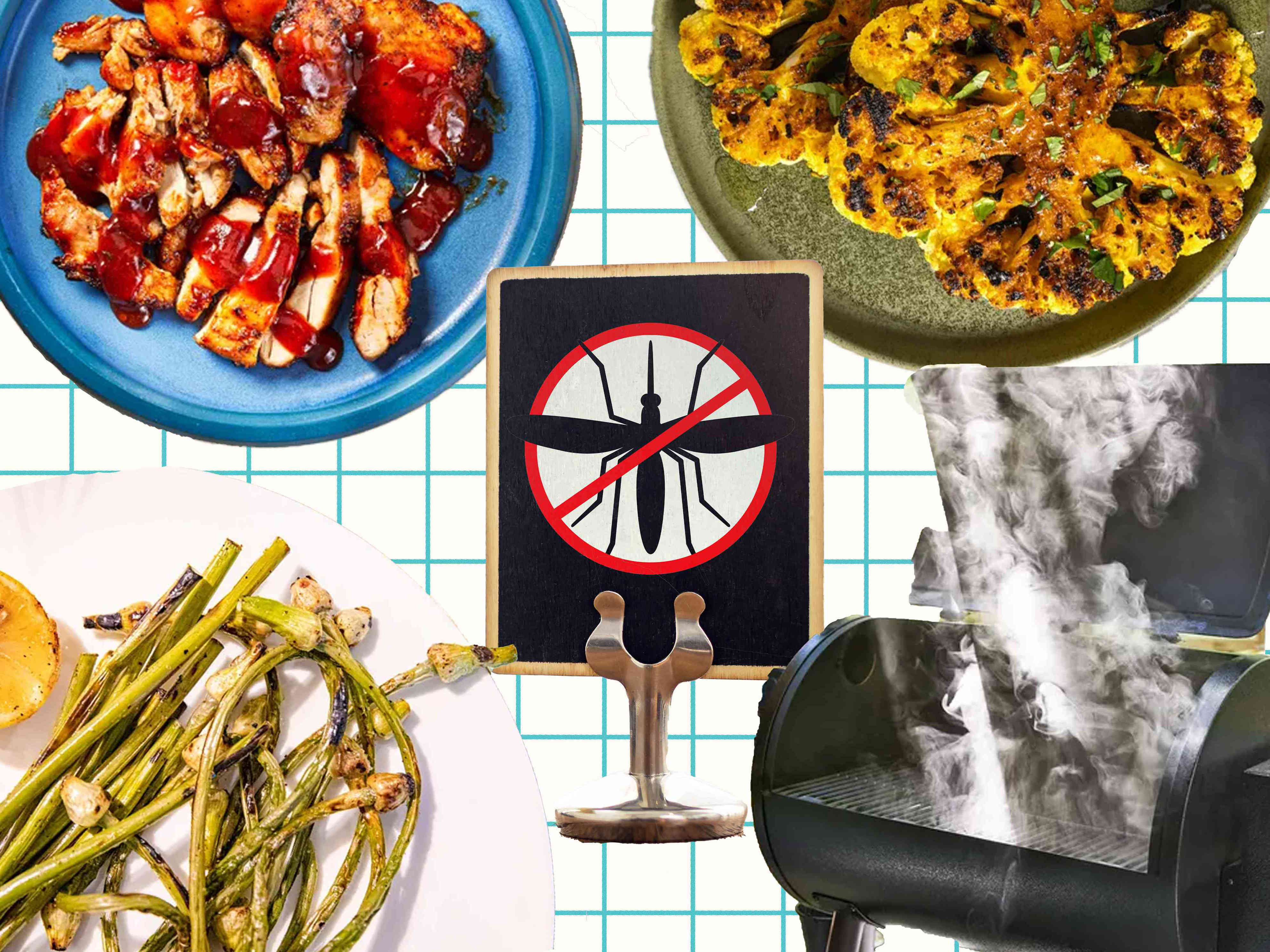 How to Keep Mosquitos Away From Your Food