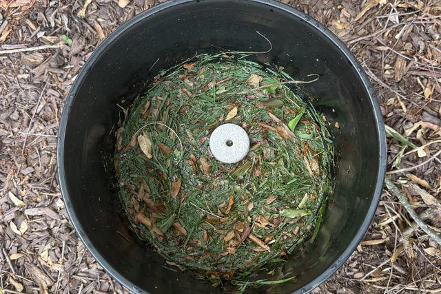 I Tried The Mosquito 'Bucket Of Doom' To See If It Actually Works