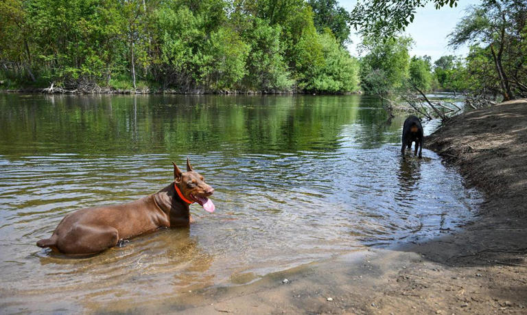 These maps show where you can enjoy public access to San Joaquin River ...