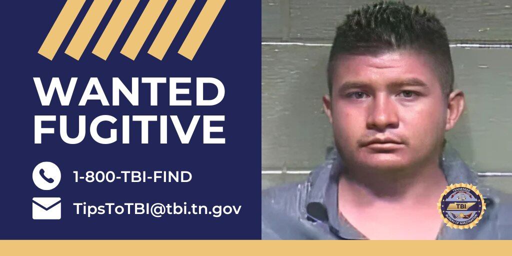 Search continues for most wanted vehicular homicide suspect in TN