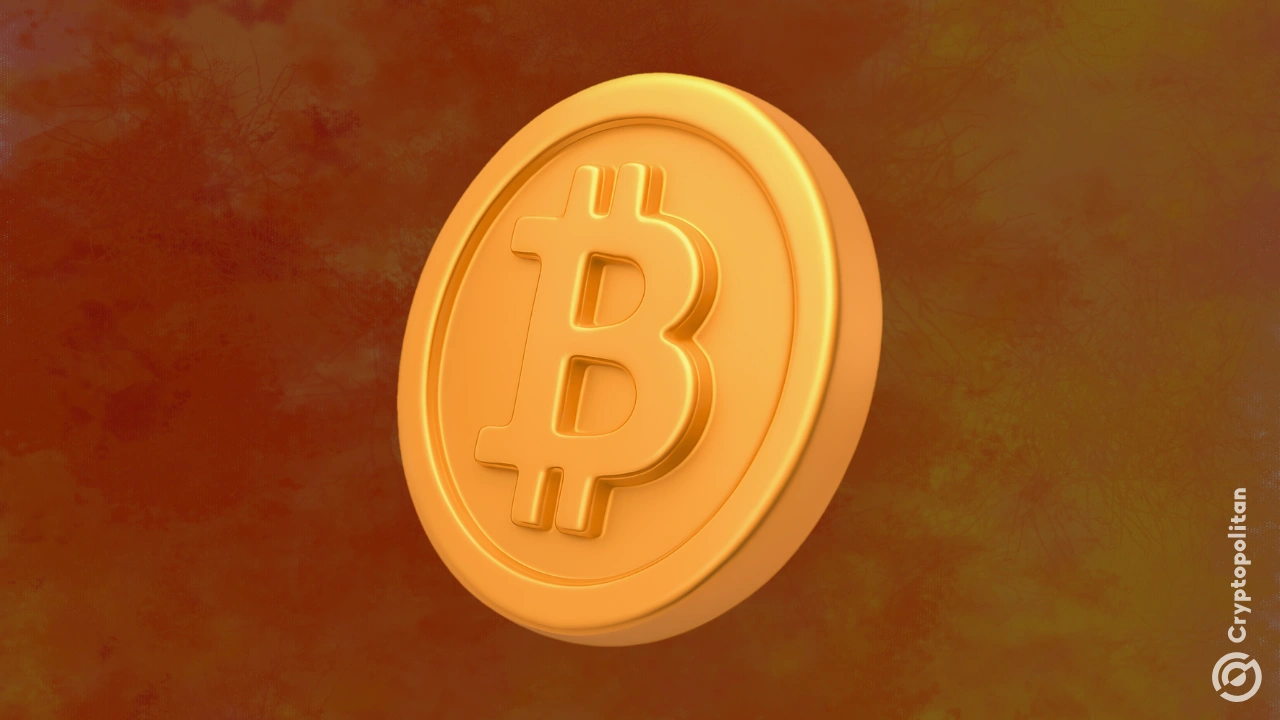 Solo Bitcoin miner wins full block reward of ‎3.173 BTC