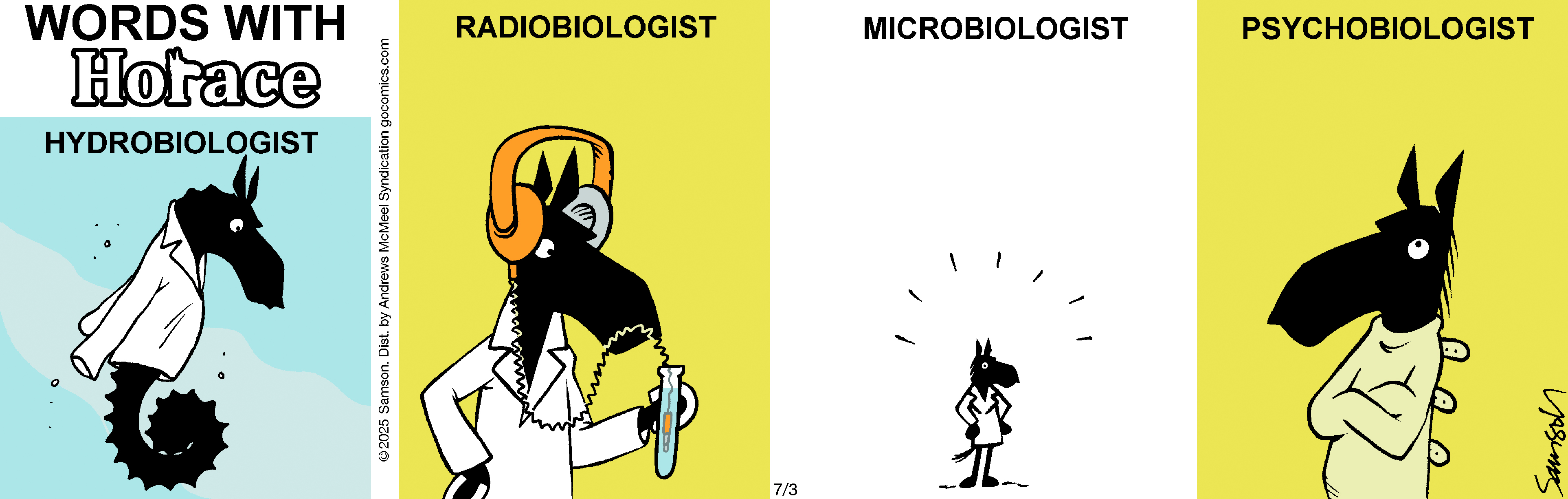 Dark Side of the Horse by Samuli Lintula