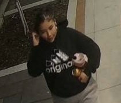 Selkirk RCMP investigate homicide, ask public to identify woman caught ...