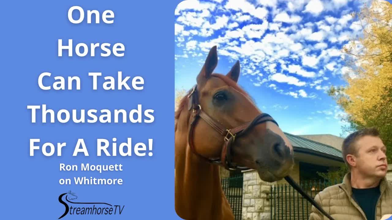 Ron Moquett Shares Beautiful Lesson Learned From Whitmore: One Horse ...