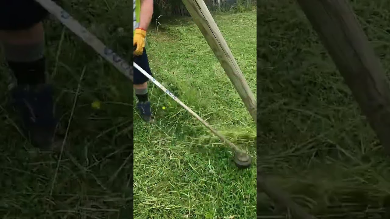 Unbelievable Lawn Transformation!