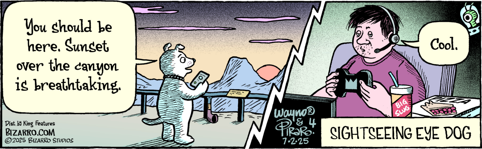 Bizarro by Wayno & Piraro