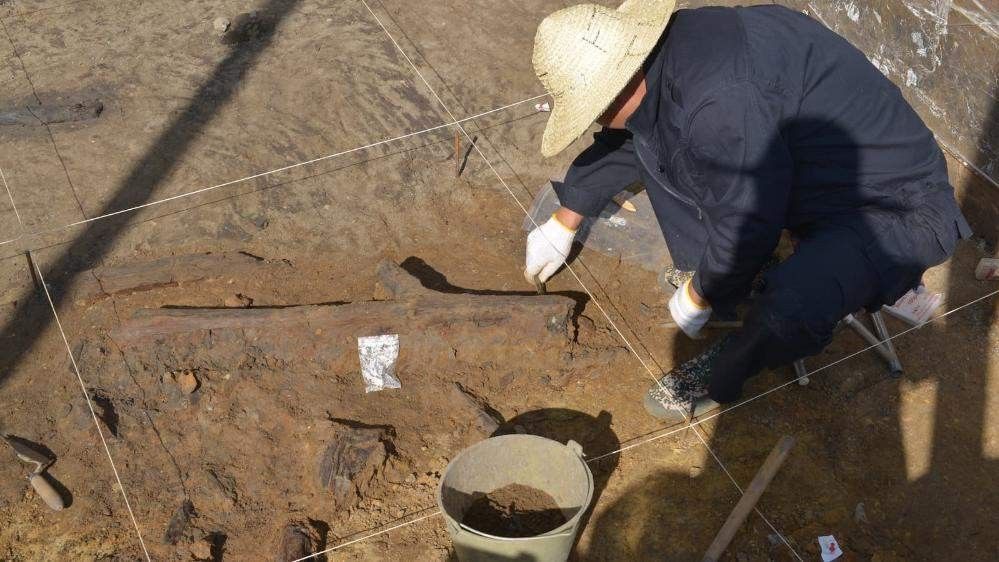 Oldest wooden tools unearthed in East Asia show that ancient humans ...