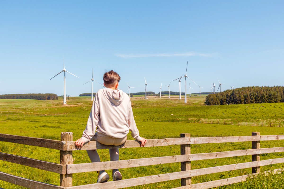 Could you get a wind turbine in your garden? Probably not