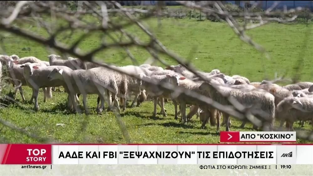 Σκάνδαλο ΟΠΕΚΠΕ: ΑΑΔΕ και FBI ξεψαχνίζουν τις επιδοτήσεις