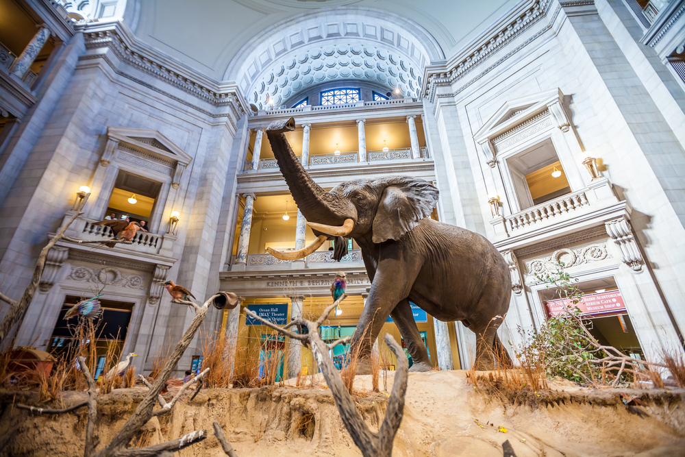 15 Famous Museum Artifacts That Turned Out to Be Fake