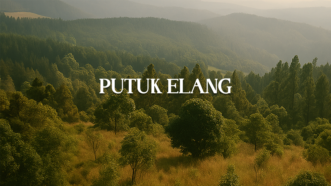 Mendaki Putuk Lembu via Putuk Elang: Rute Sepi, tapi Pemandangannya Gokil!