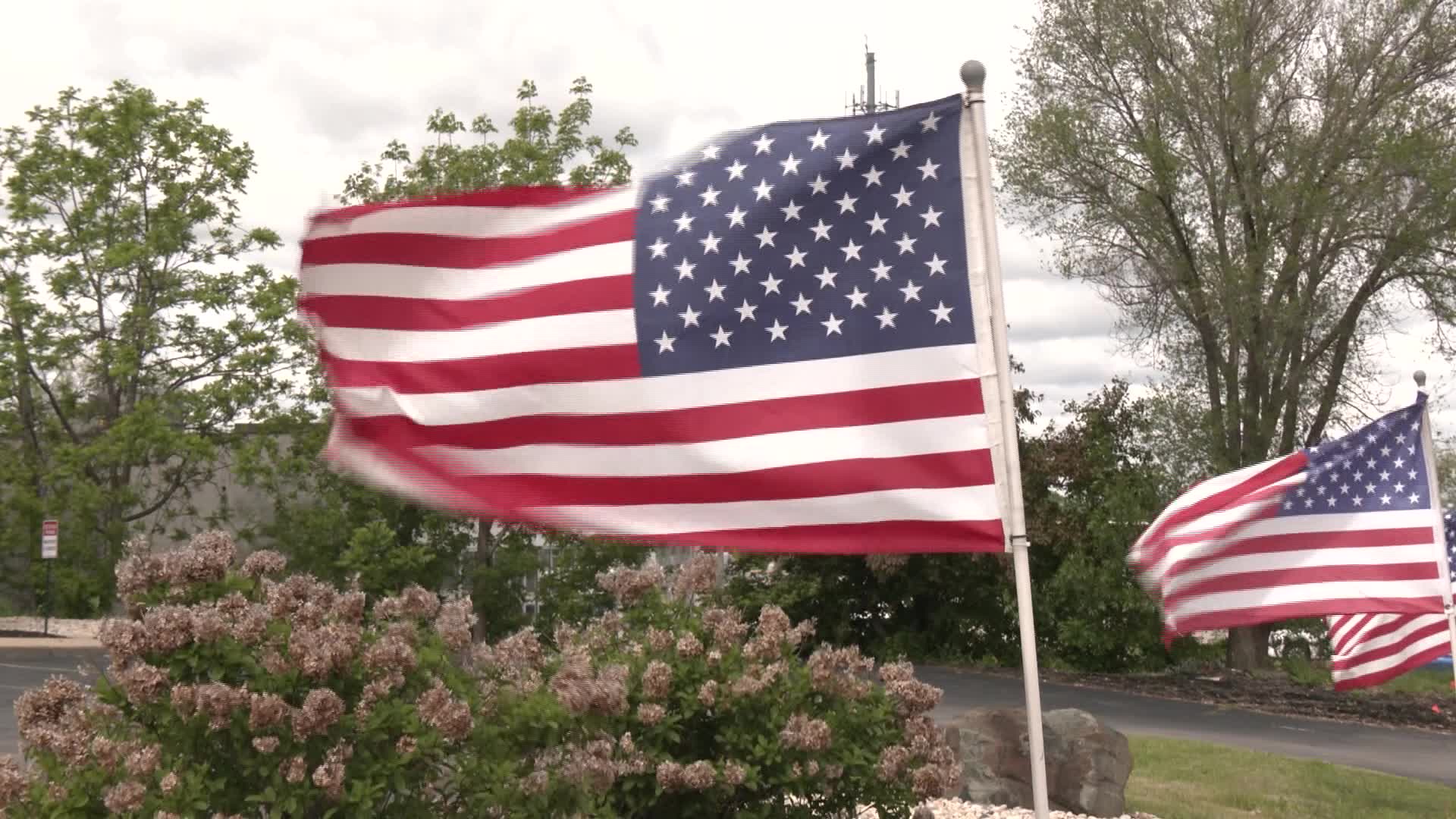 Illinois man on mission to put Declaration of Independence in every US ...