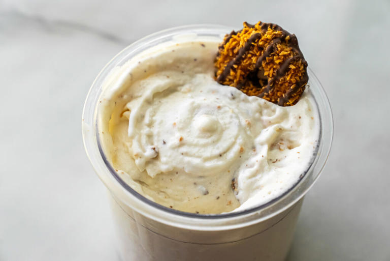 18 Ninja Creami Recipes That Will Transform Your Dessert Routine