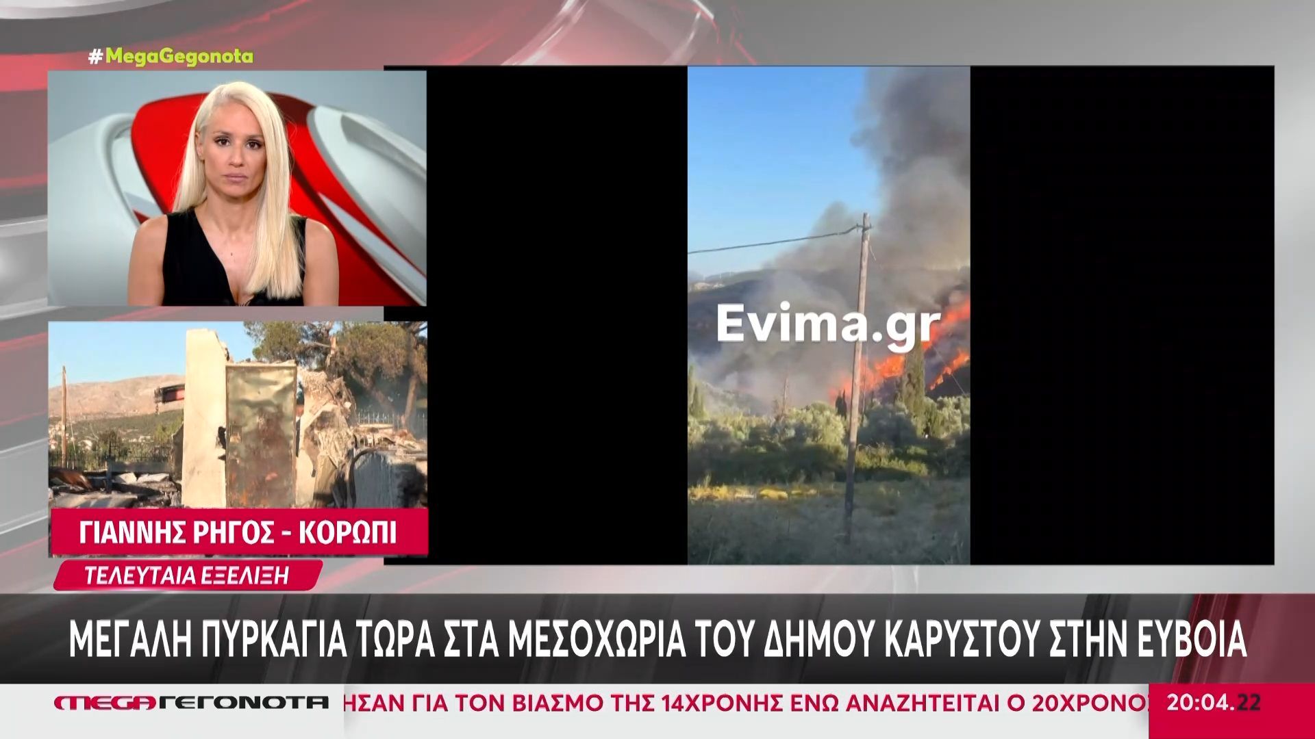 Μεγάλη φωτιά στην Εύβοια
