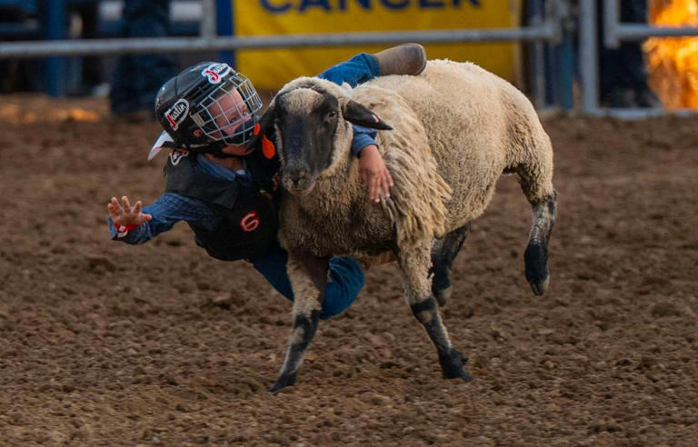 See fan-favorite Folsom Pro Rodeo return with heart and horses