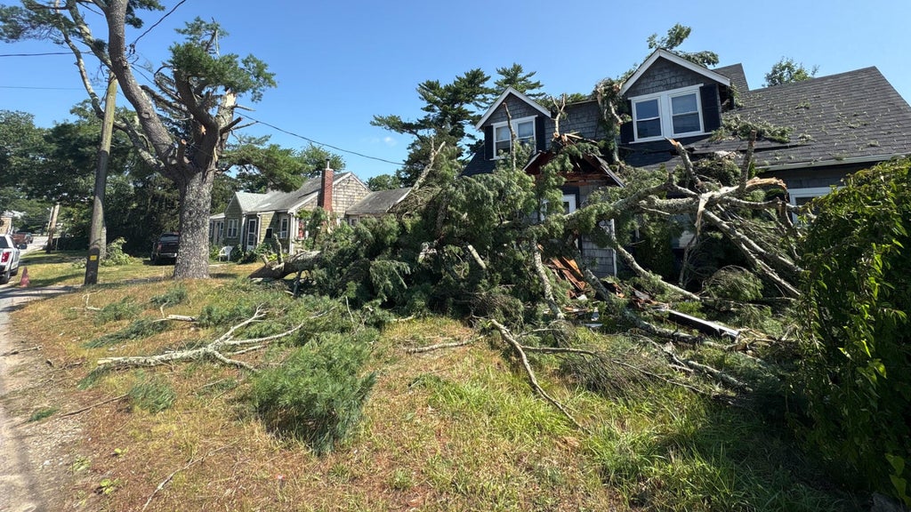 Wareham begins cleanup after widespread storm damage and power outages
